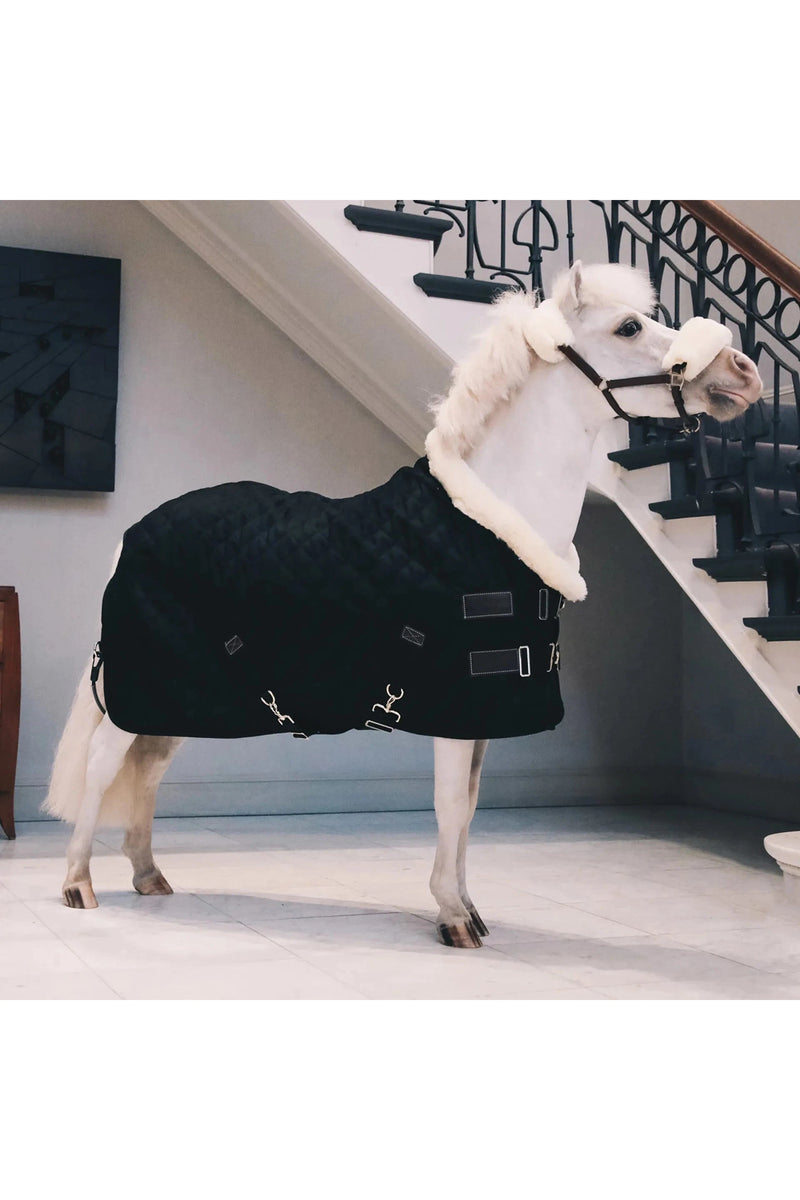 Kentucky Show Rug-Black Pony 2'6'' – Canterbury Equestrian Outlet
